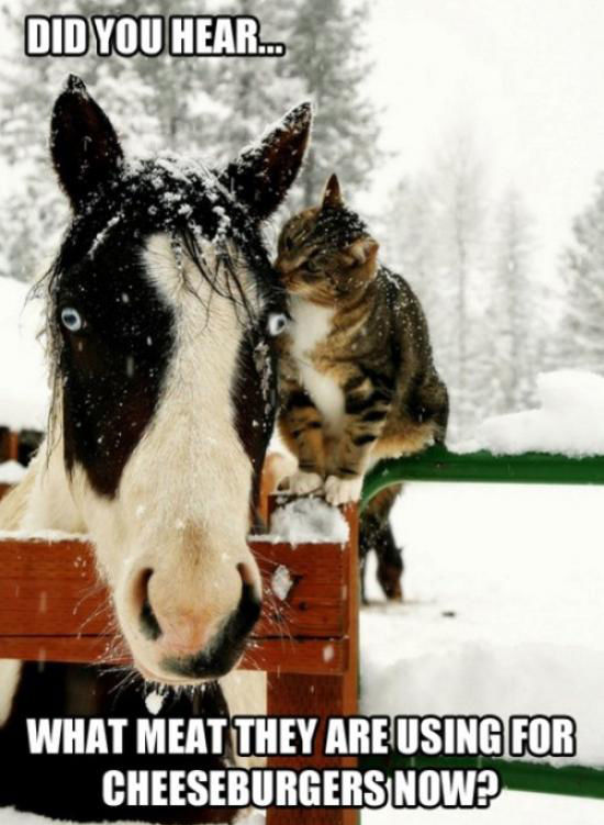at eti - uludağ sözlük