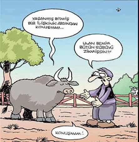 öküz bildiğin öküz - uludağ sözlük galeri